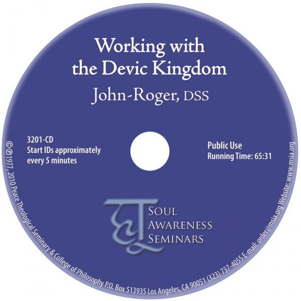 Working With the Devic Kingdom | MSIA Store