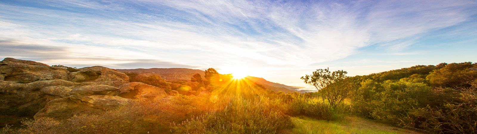 God is My Partner – MSIA